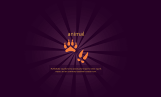 How To Make Animals In Little Alchemy 2? - Unigamesity